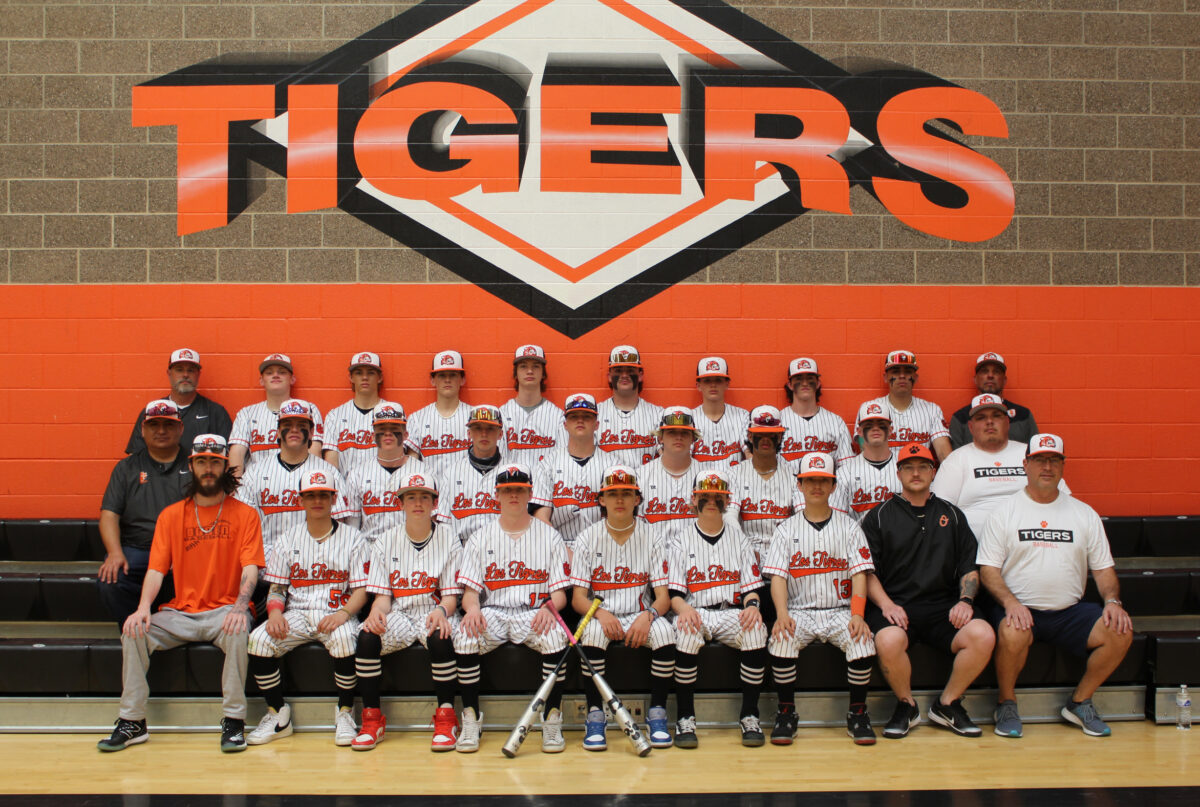 Team of the Year: Ogden baseball ended long postseason win drought, had ...